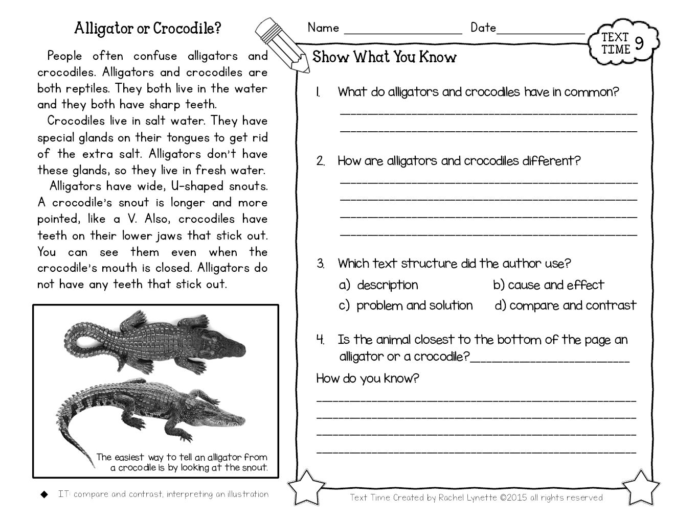 Alligator or Crocodile? Informational Text (nonfiction) - Minds in ...