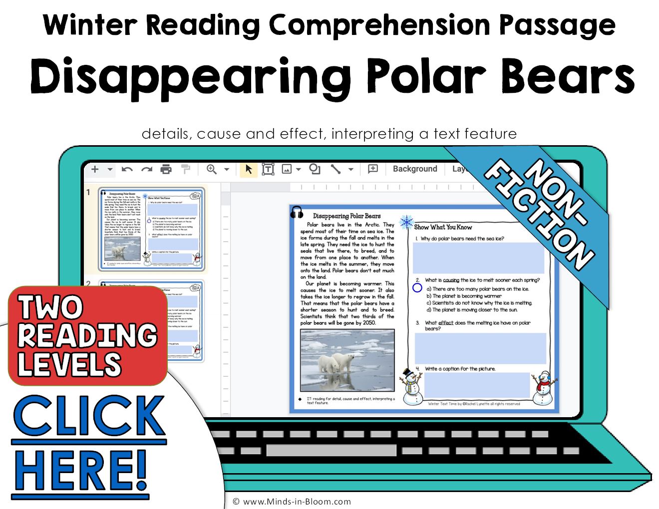 Winter Reading Passage - Disappearing Polar Bears - Informational Text ...