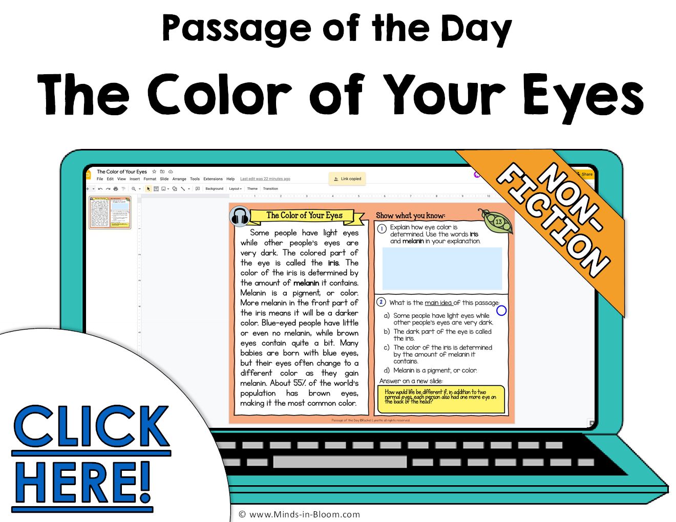 Google Slides Non-fiction (informational) Passage: The Color of Your ...