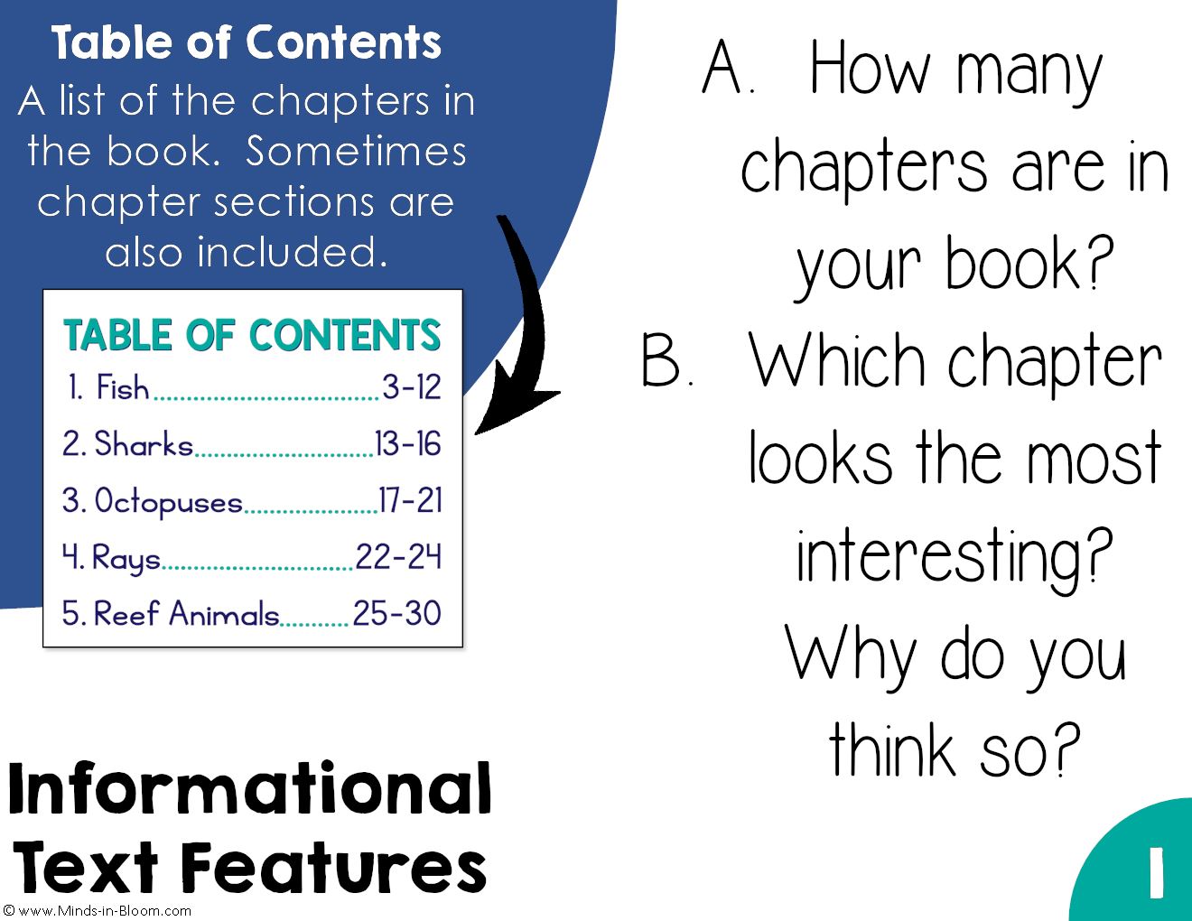 Informational Text Features Poster Size - COLOR - Minds in Bloom Unlimited