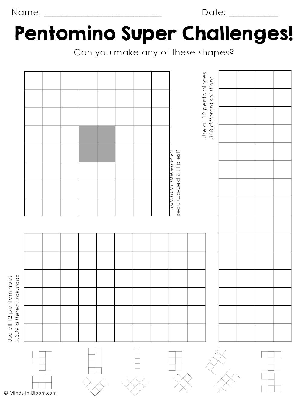 Math Enrichment Pentominoes - Super Challenge #2 - Minds in Bloom Unlimited