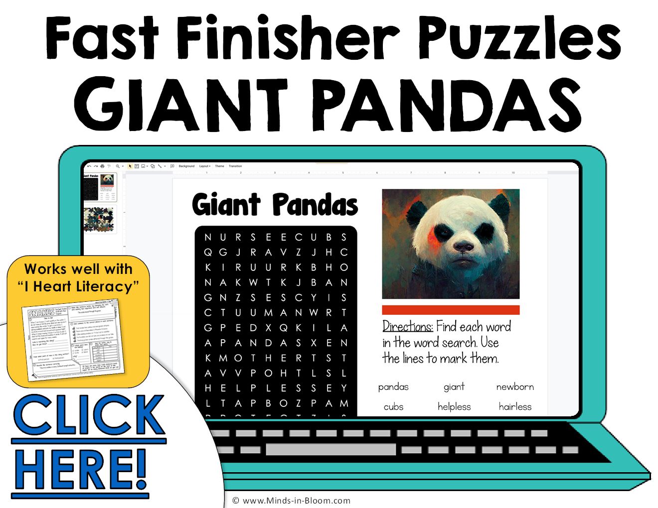 Google Slides - I Love Literacy Fast Finishers Puzzles - GIANT PANDAS ...