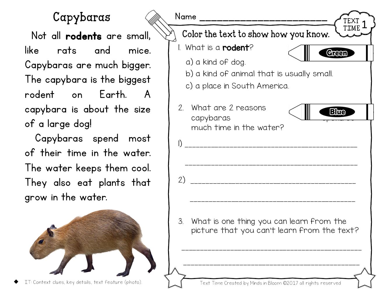 Reading Comprehension Passage: - nonfiction - Capybaras - Minds in ...