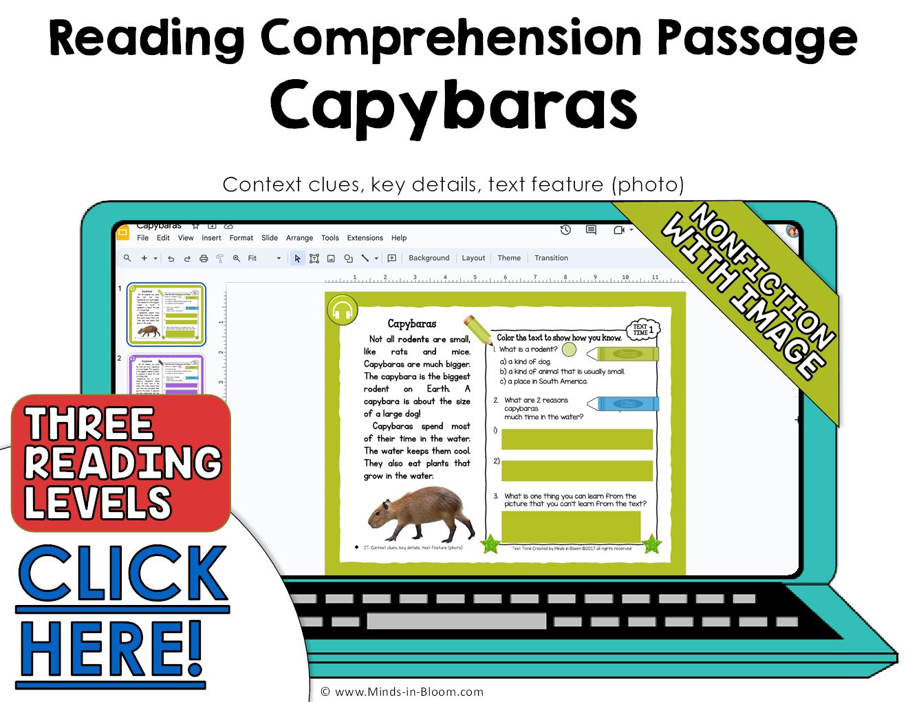 DIGITAL Reading Comprehension Passage: - nonfiction - Capybaras - Minds ...