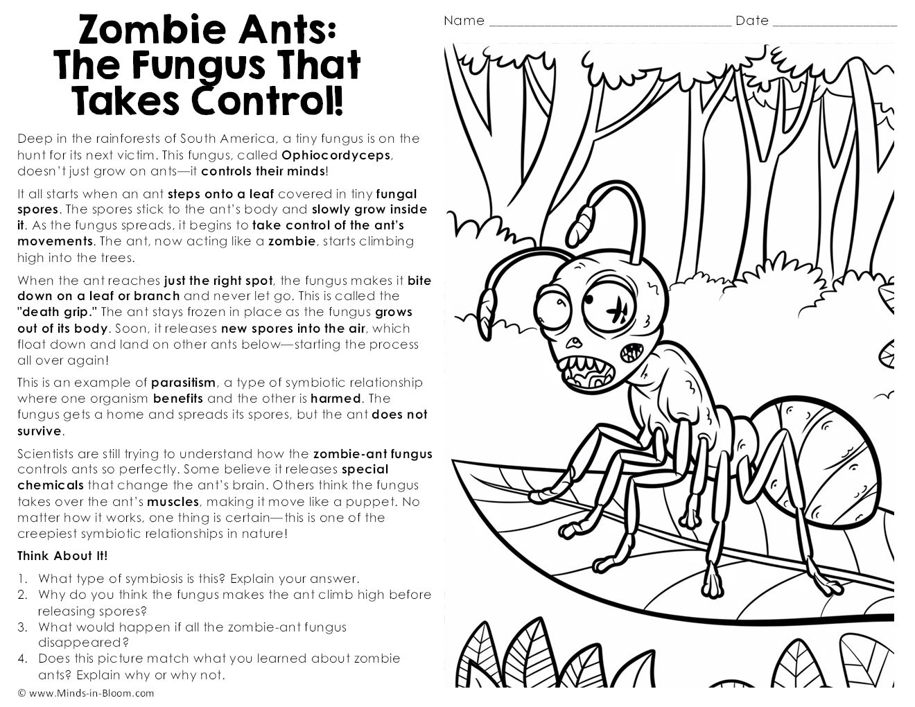 Sybiotic Relationships - Zombie Ants Reading Passage - Minds in Bloom ...