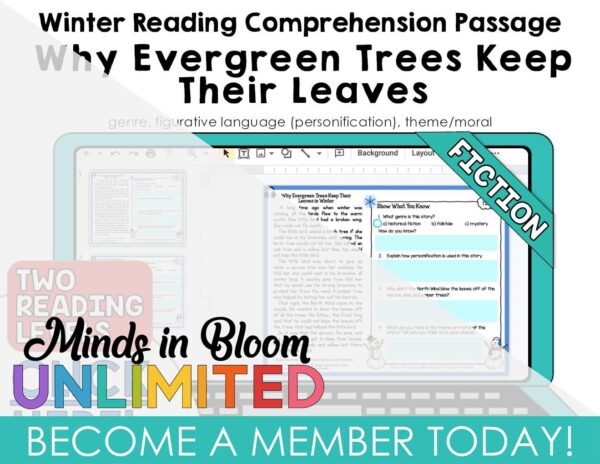 Google Slides - Winter Reading Passage - Why the Evergreen Trees Keep ...
