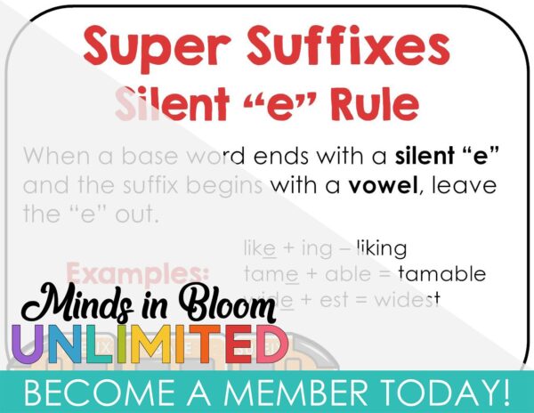 Suffix Rule Posters for Grade 3-4 | Anchor Chart Resource