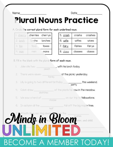Plural Nouns Practice worksheet-printable - Minds in Bloom Unlimited