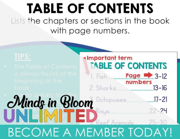 Nonfiction (Informational) Text Features Posters - COLOR - Minds in Bloom Unlimited